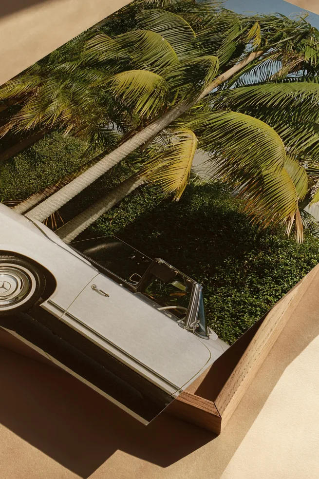 Coastal Cruiser | Print - ALEXANDRA JANSEN